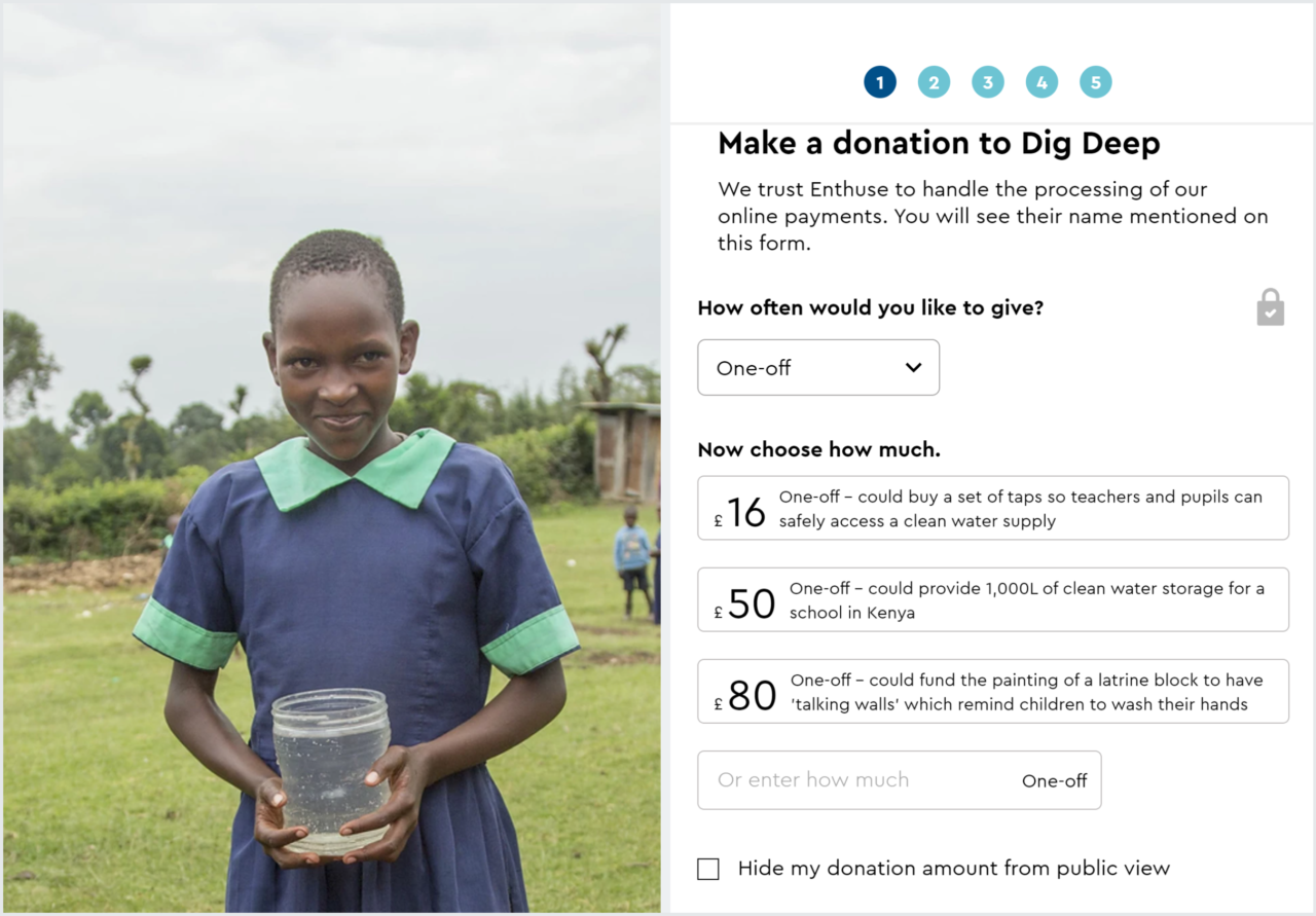 Best branded donation pages: 5 steps to success - Enthuse: Branded ...